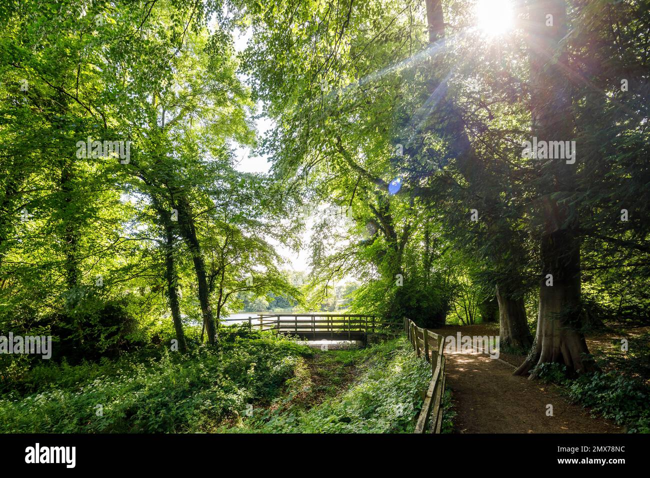 Blunsdon & Swindon Local Area Photography Stock Photo - Alamy