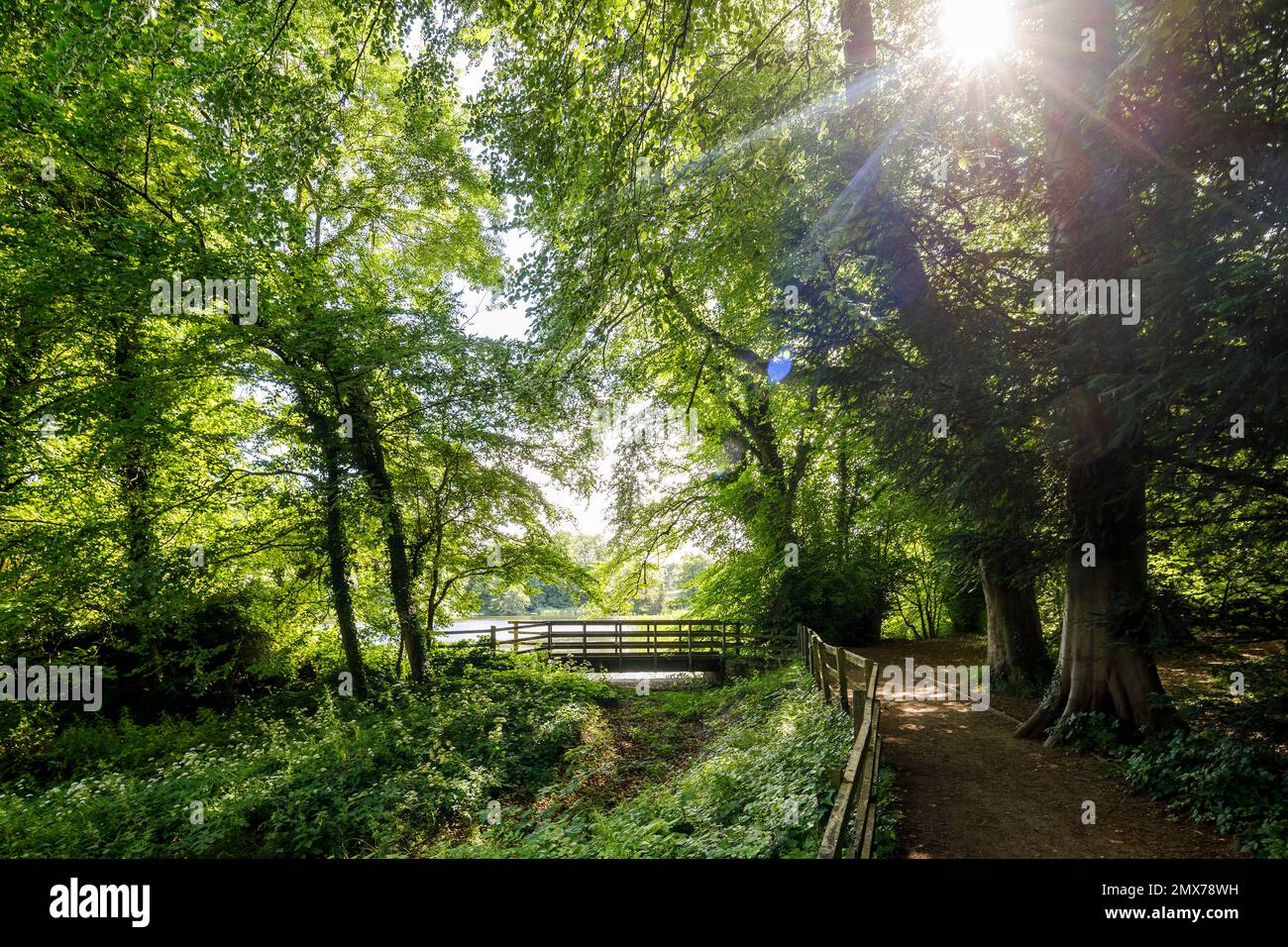 Blunsdon & Swindon Local Area Photography Stock Photo - Alamy