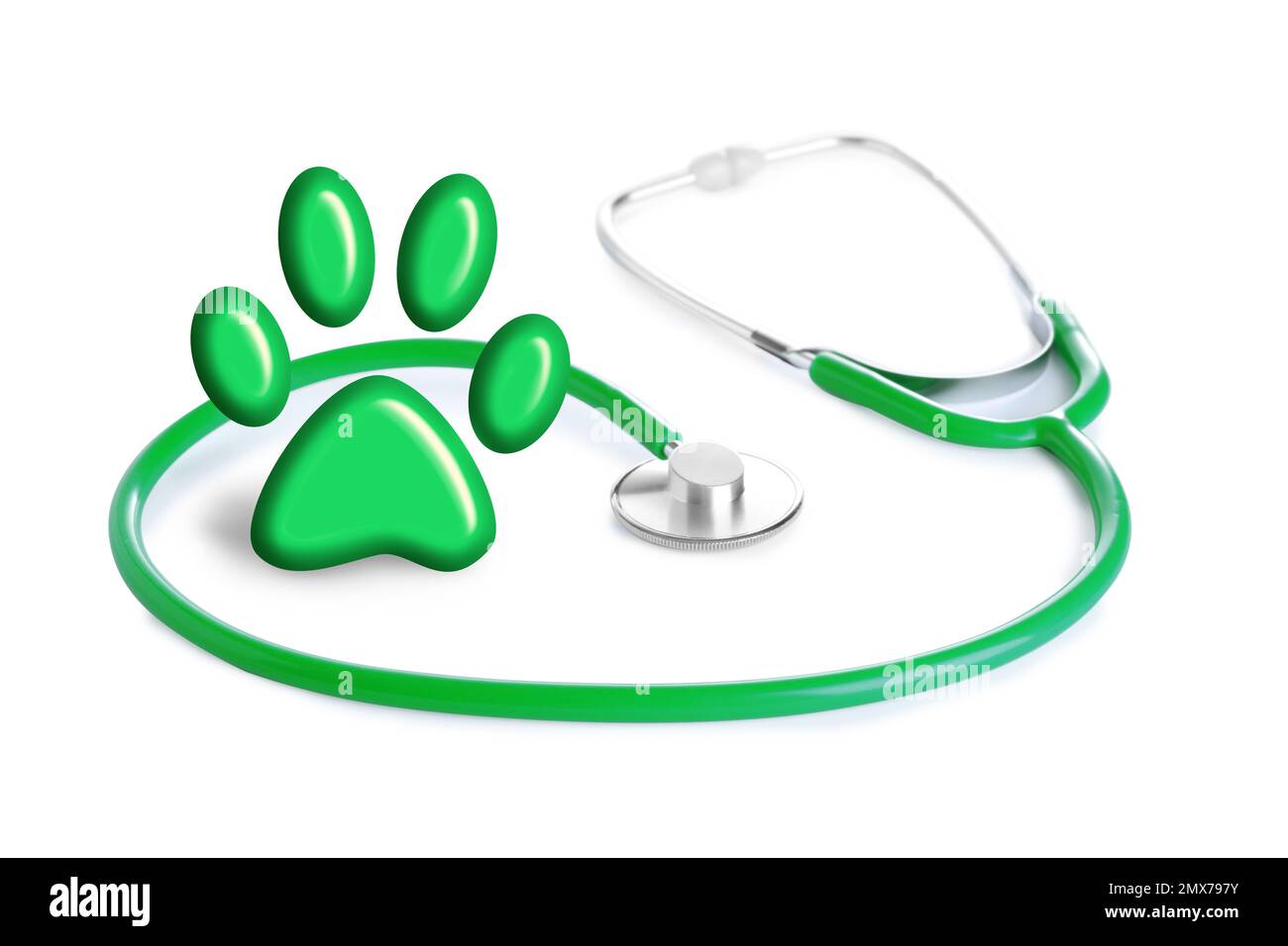 Stethoscope and animal paw on white background Stock Photo - Alamy