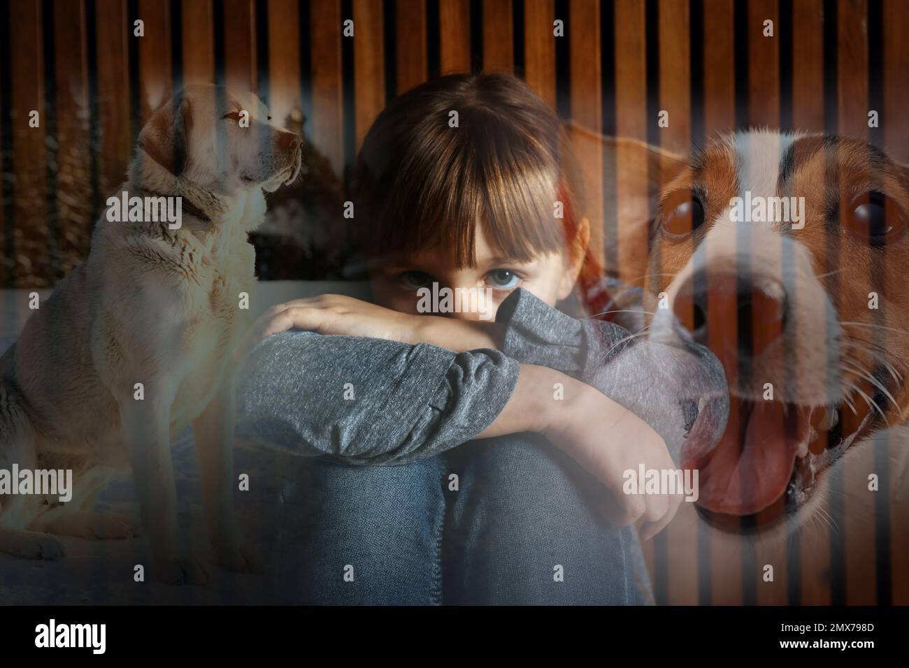 Cynophobia concept. Double exposure of scared little girl and dogs ...