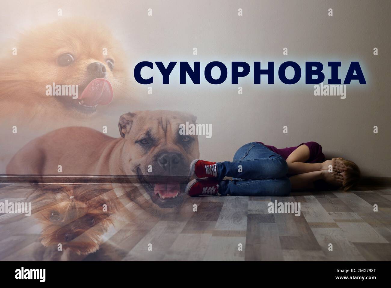 Cynophobia