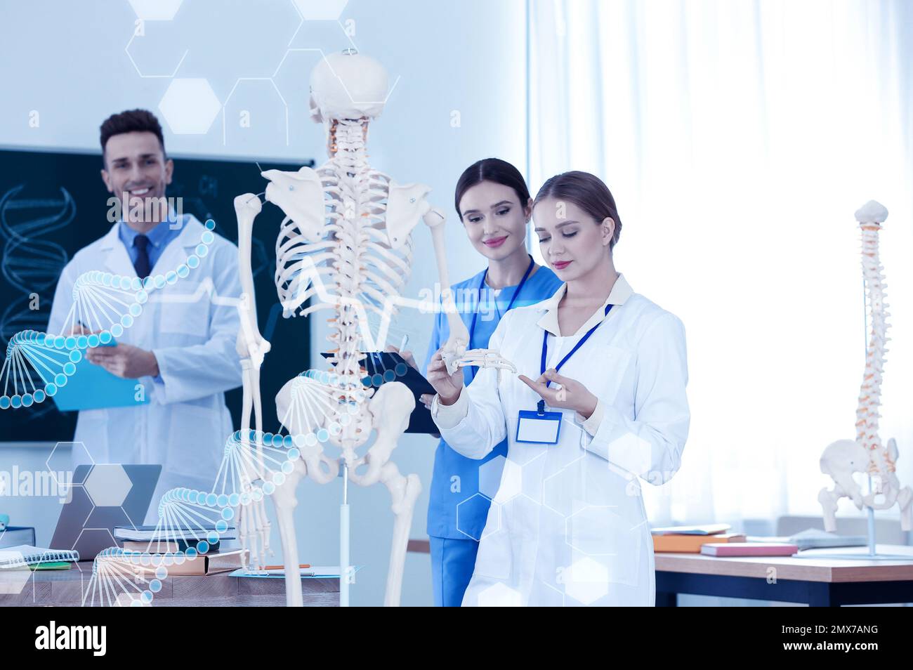 Medical students studying human skeleton anatomy in classroom Stock ...