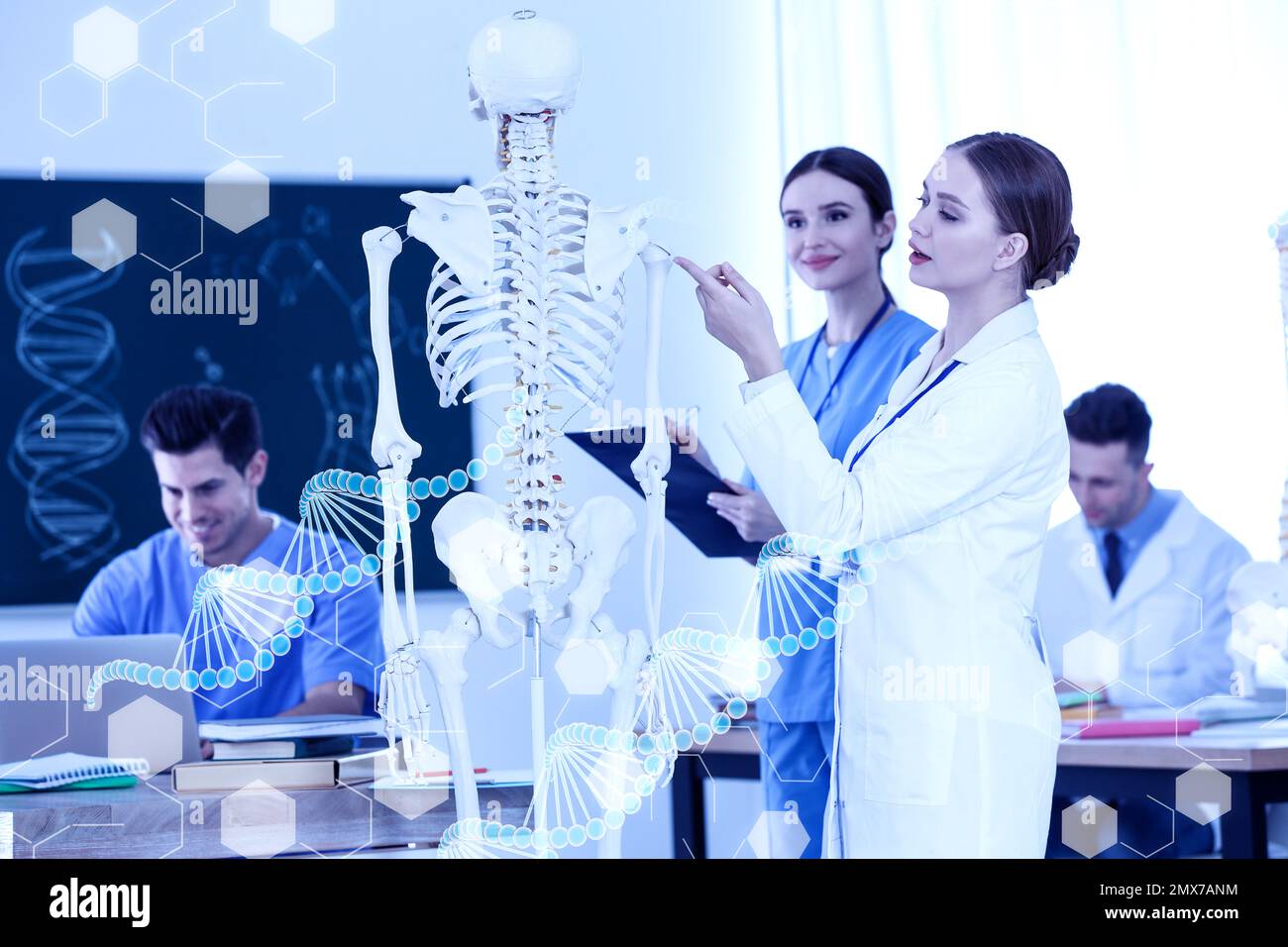 Medical students studying human skeleton anatomy in classroom Stock ...