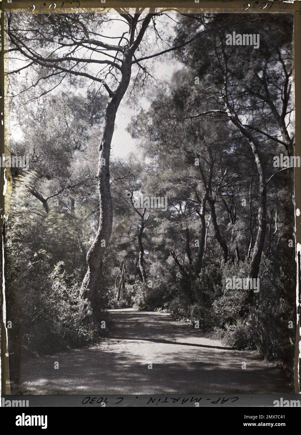 Cap Martin , France , 1927 - Cap Martin - Auguste Léon - (March -April ...