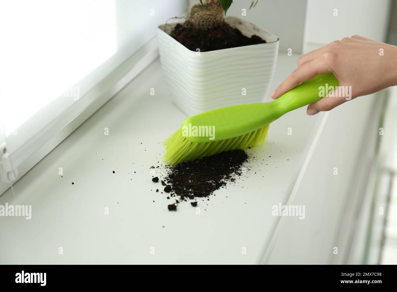 Woman sweeping away scattered soil from window sill with brush, closeup ...