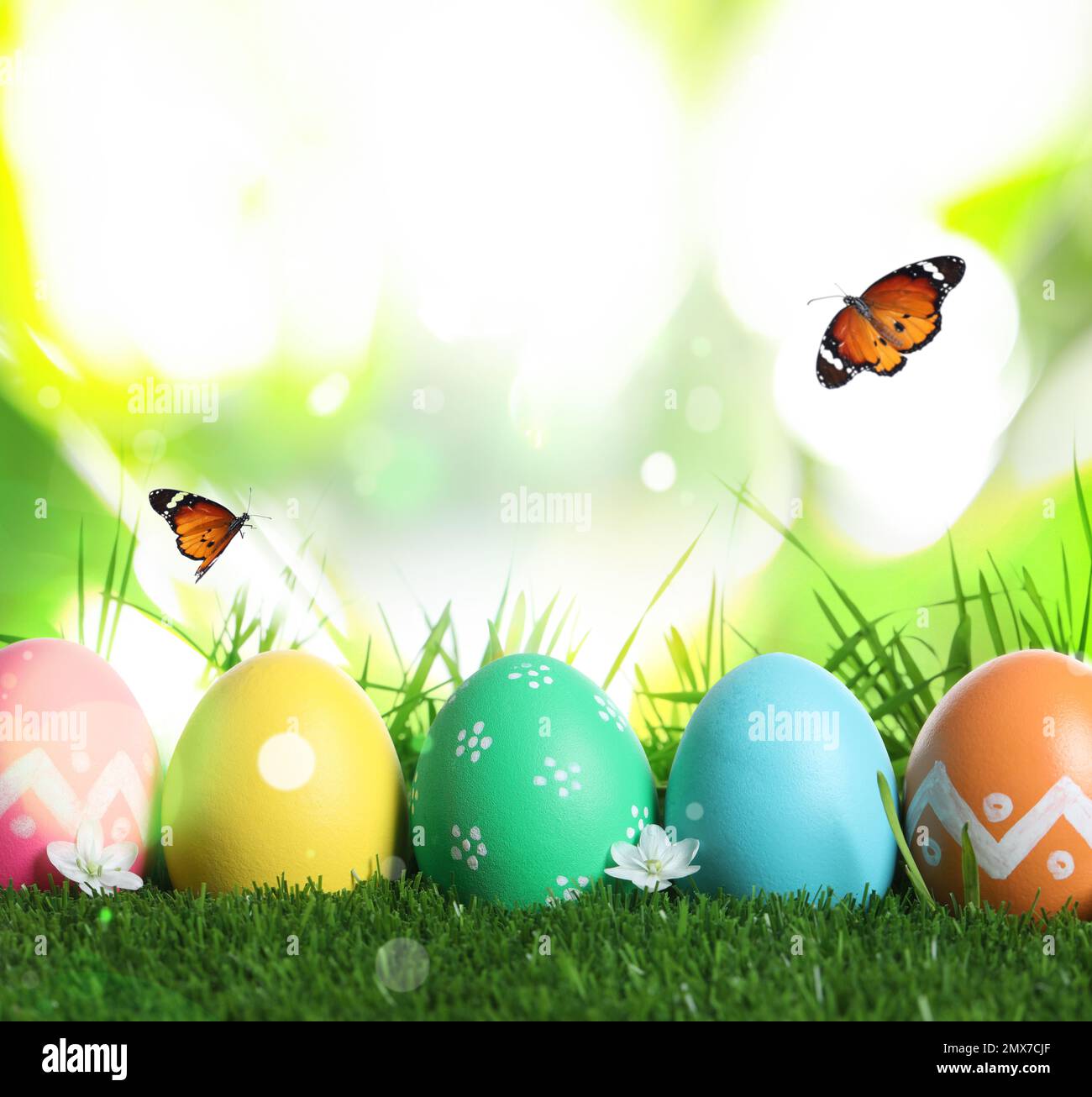 Colorful Easter eggs and butterflies on blurred green background Stock ...