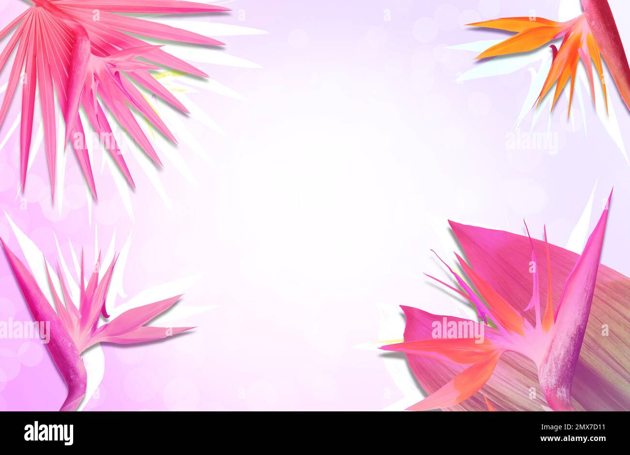 Colorful tropical plants on light background, flat lay. Creative design ...