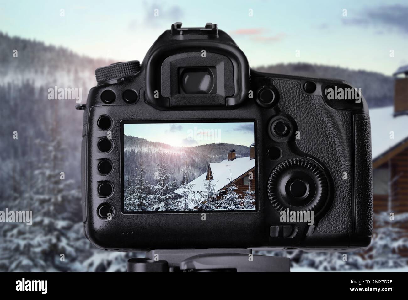 Recording beautiful view of snowy forest on professional video camera ...