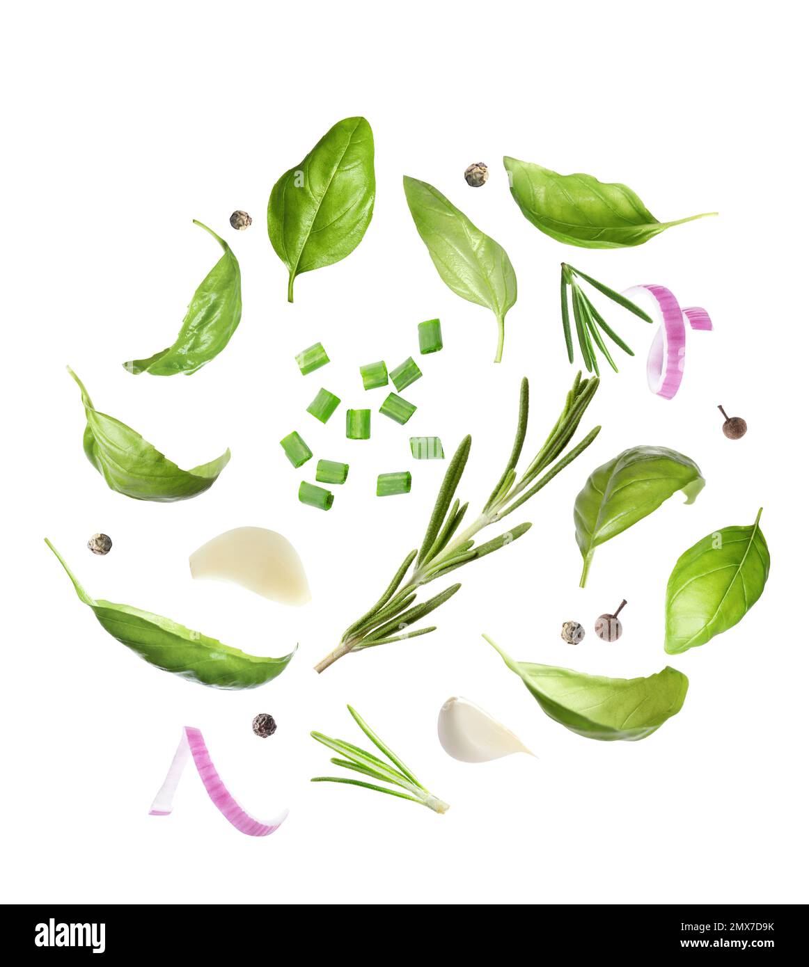 Basil leaves and other ingredients falling on white background Stock ...
