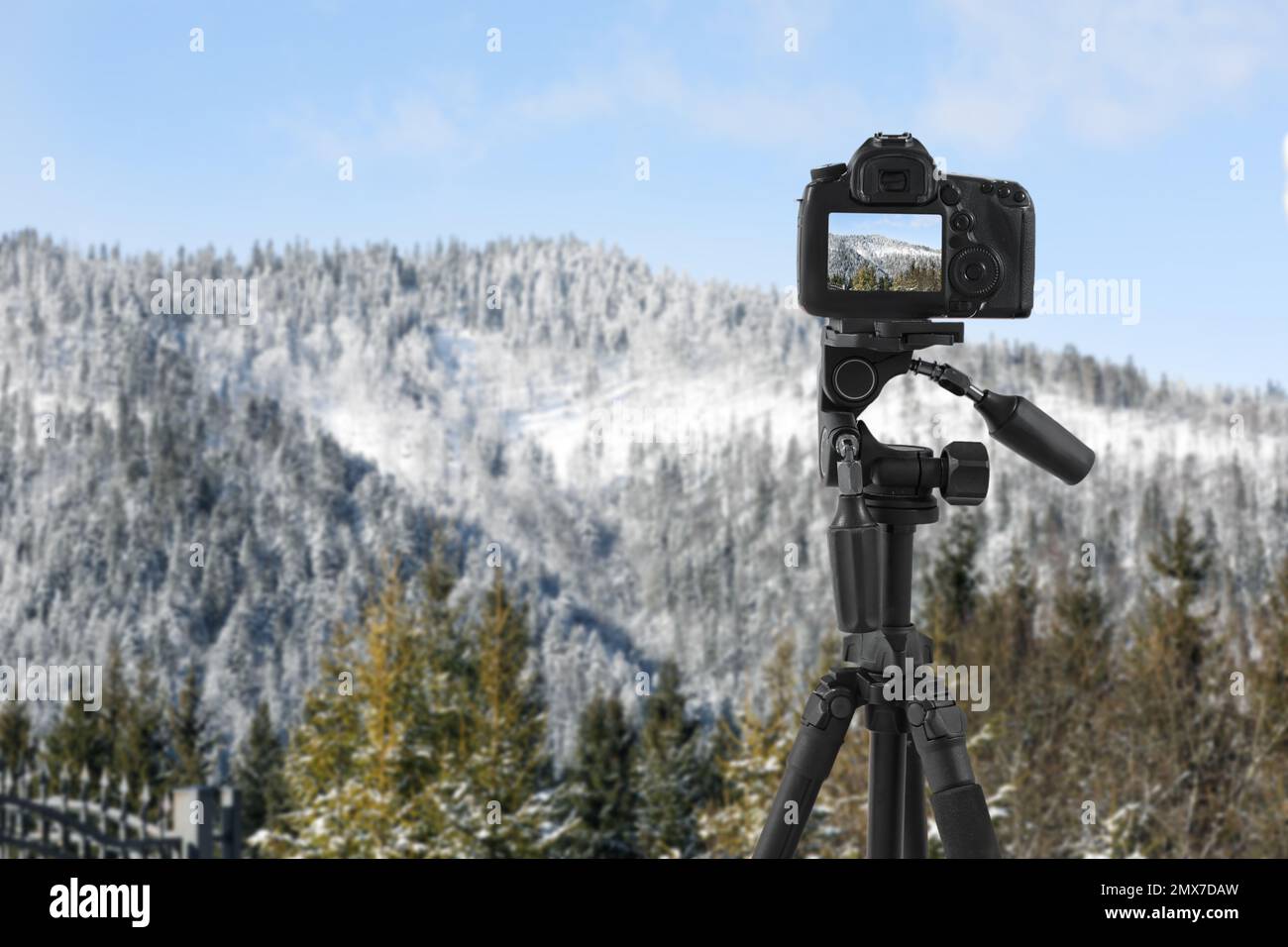 Recording beautiful view of snowy forest on professional video camera ...