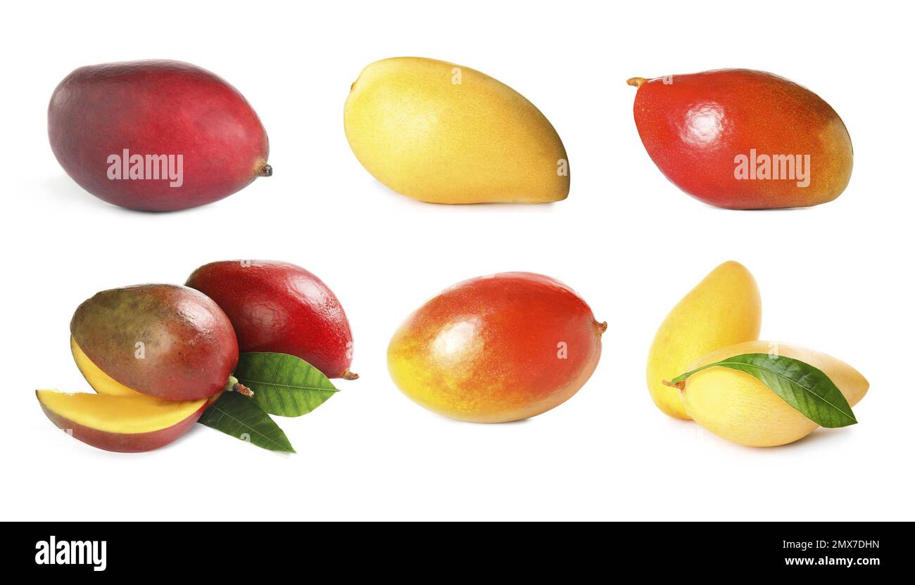 Set of delicious mangoes on white background Stock Photo - Alamy