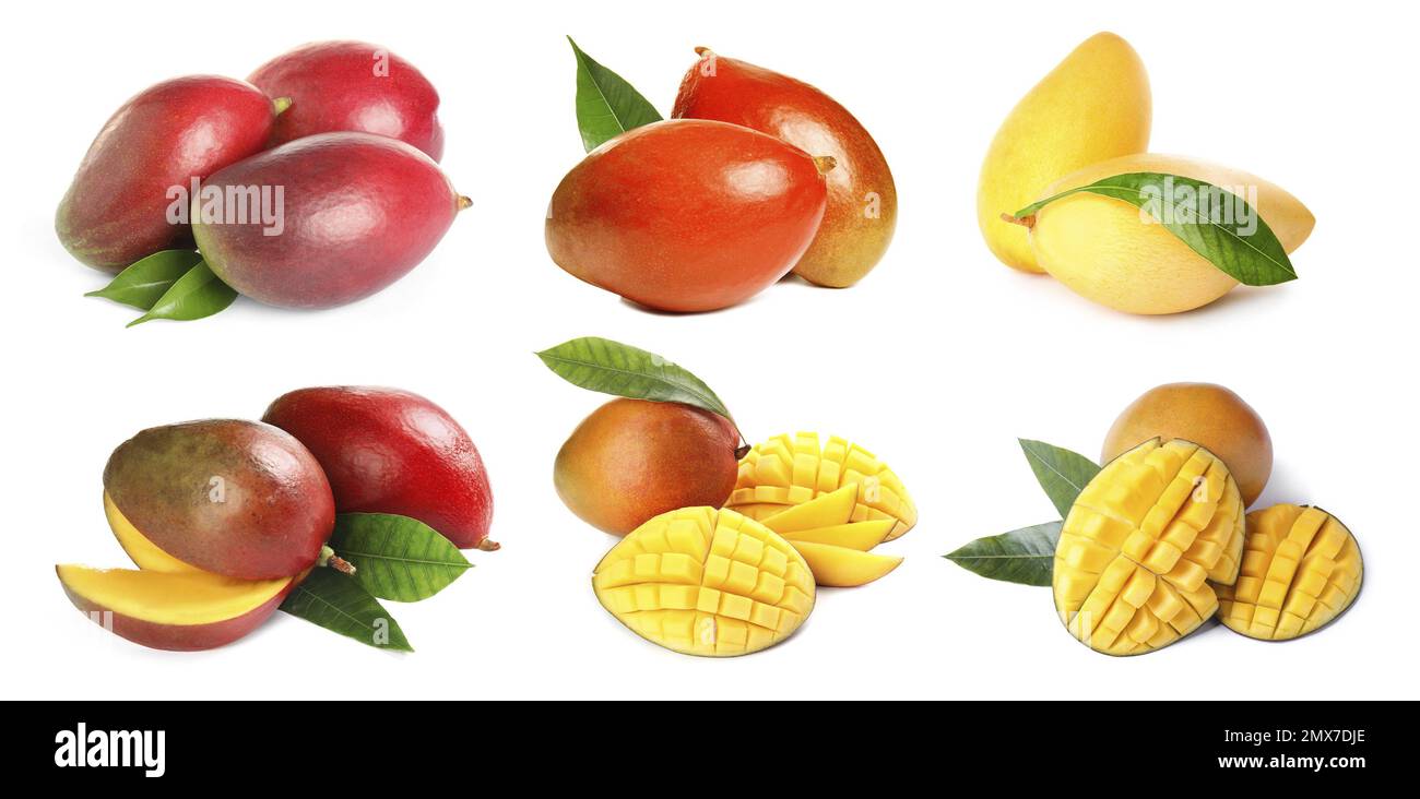 Set of delicious mangoes on white background. Banner design Stock Photo ...