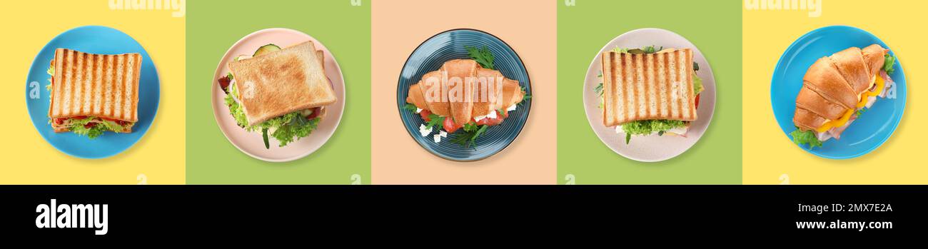 Set of different yummy sandwiches on color background, top view. Banner ...