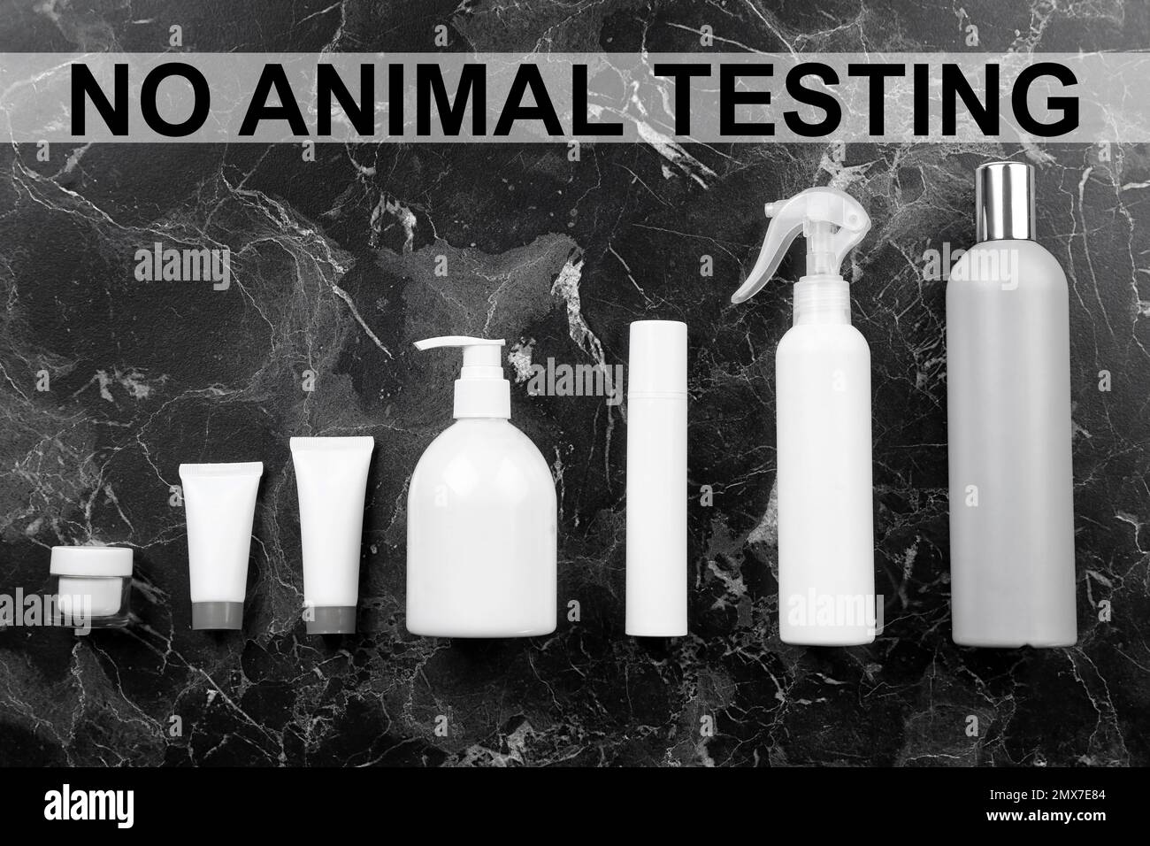 Cosmetic products and text NO ANIMAL TESTING on black marble background ...