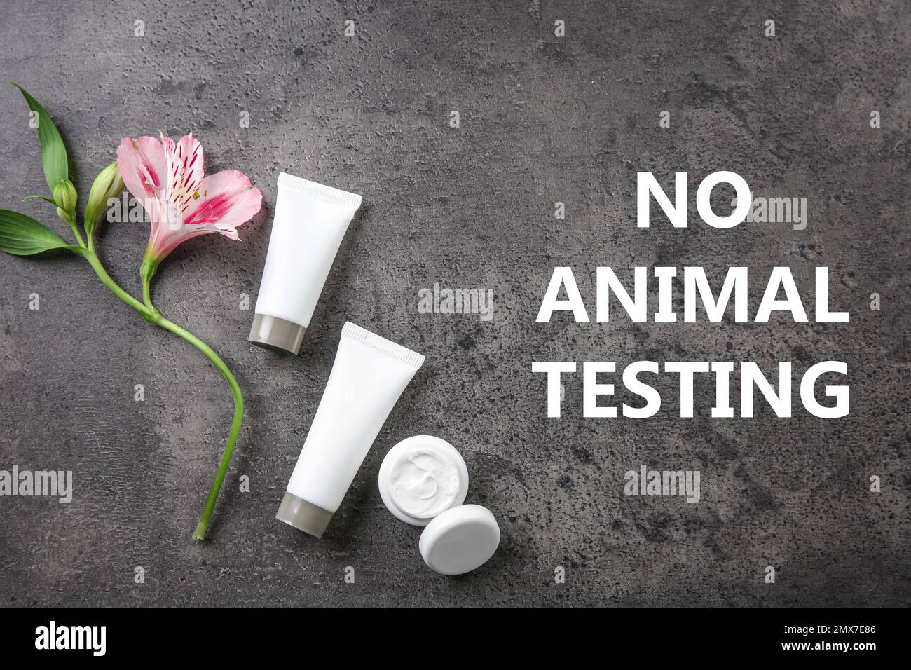 Cosmetic products, flower and text NO ANIMAL TESTING on grey background ...
