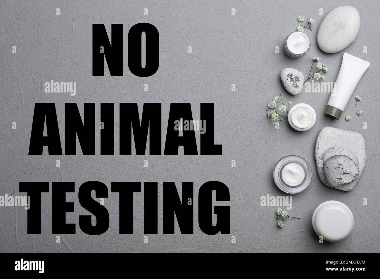 Cosmetic products and text NO ANIMAL TESTING on grey background, flat ...