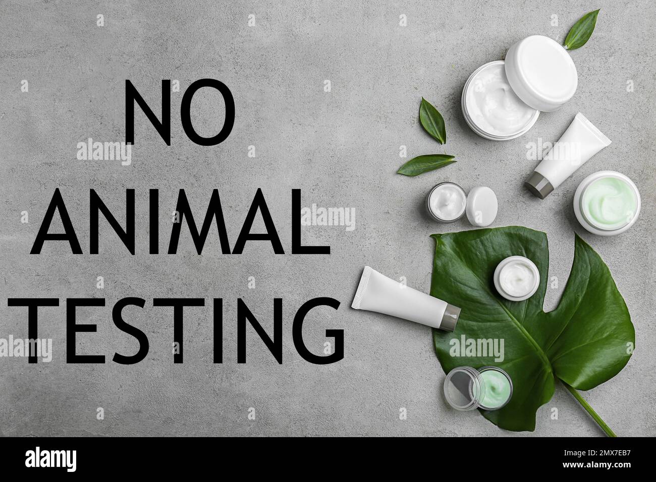 Cosmetic products and text NO ANIMAL TESTING on grey background, flat ...