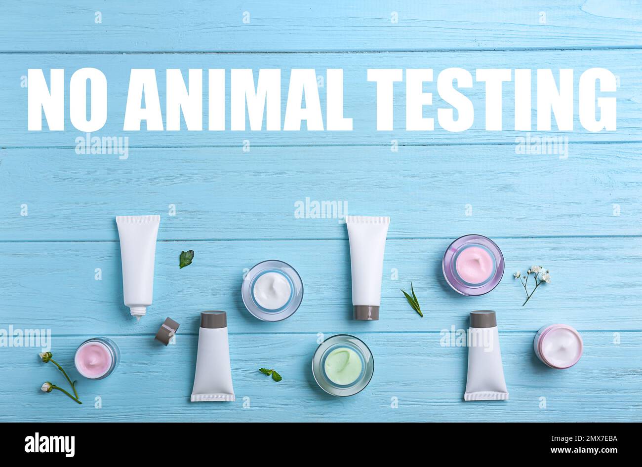 Cosmetic products and text NO ANIMAL TESTING on light blue wooden ...