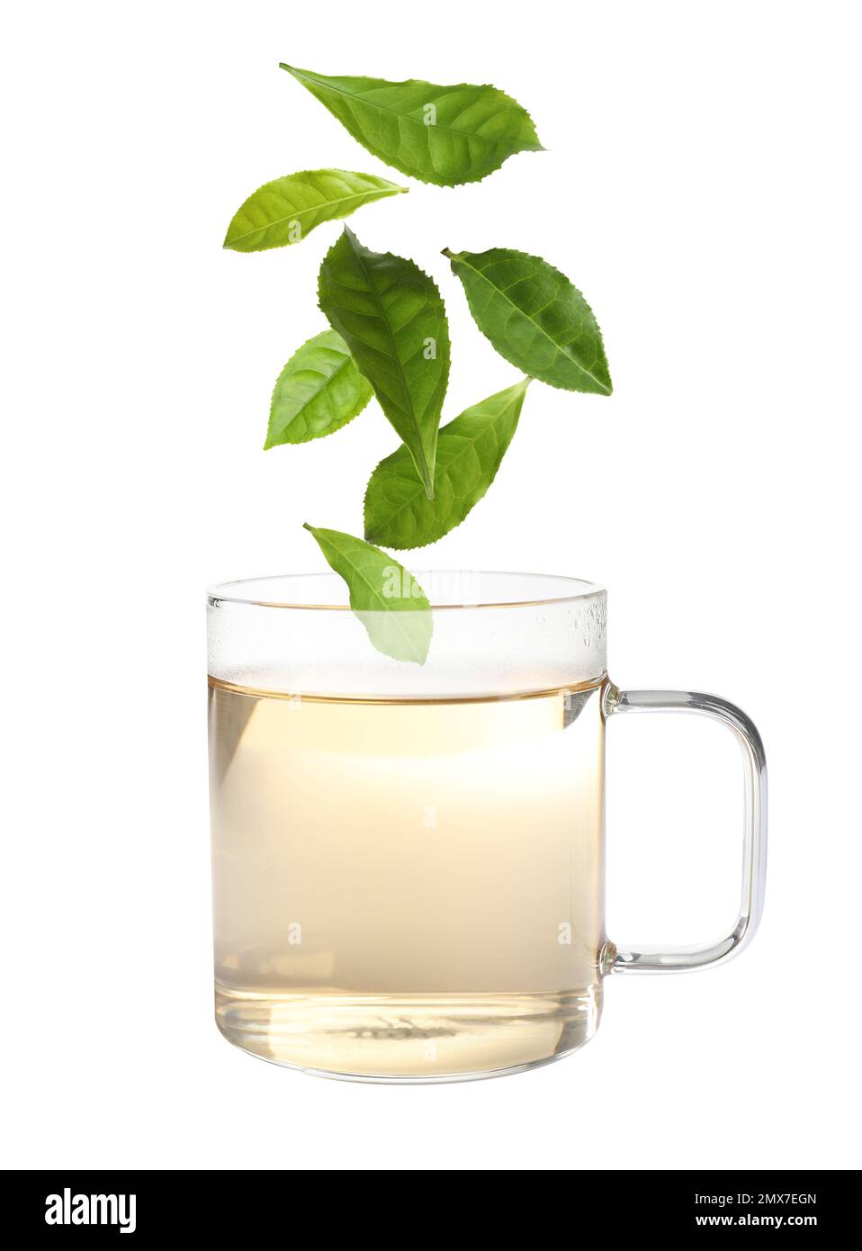 Green leaves falling into cup of tea on white background Stock Photo ...