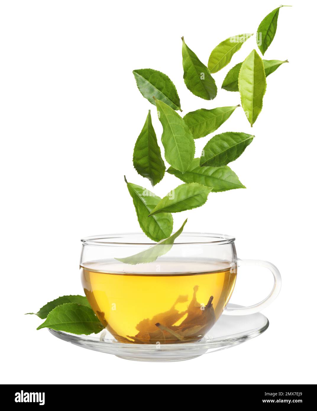 Green leaves falling into cup of tea on white background Stock Photo ...