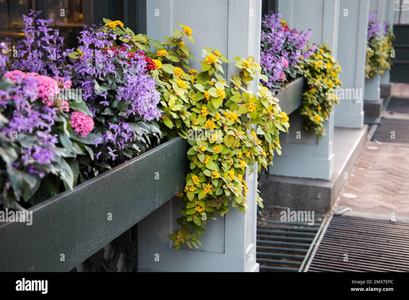 A city building window box ledge full of colorful spring flowers Stock ...