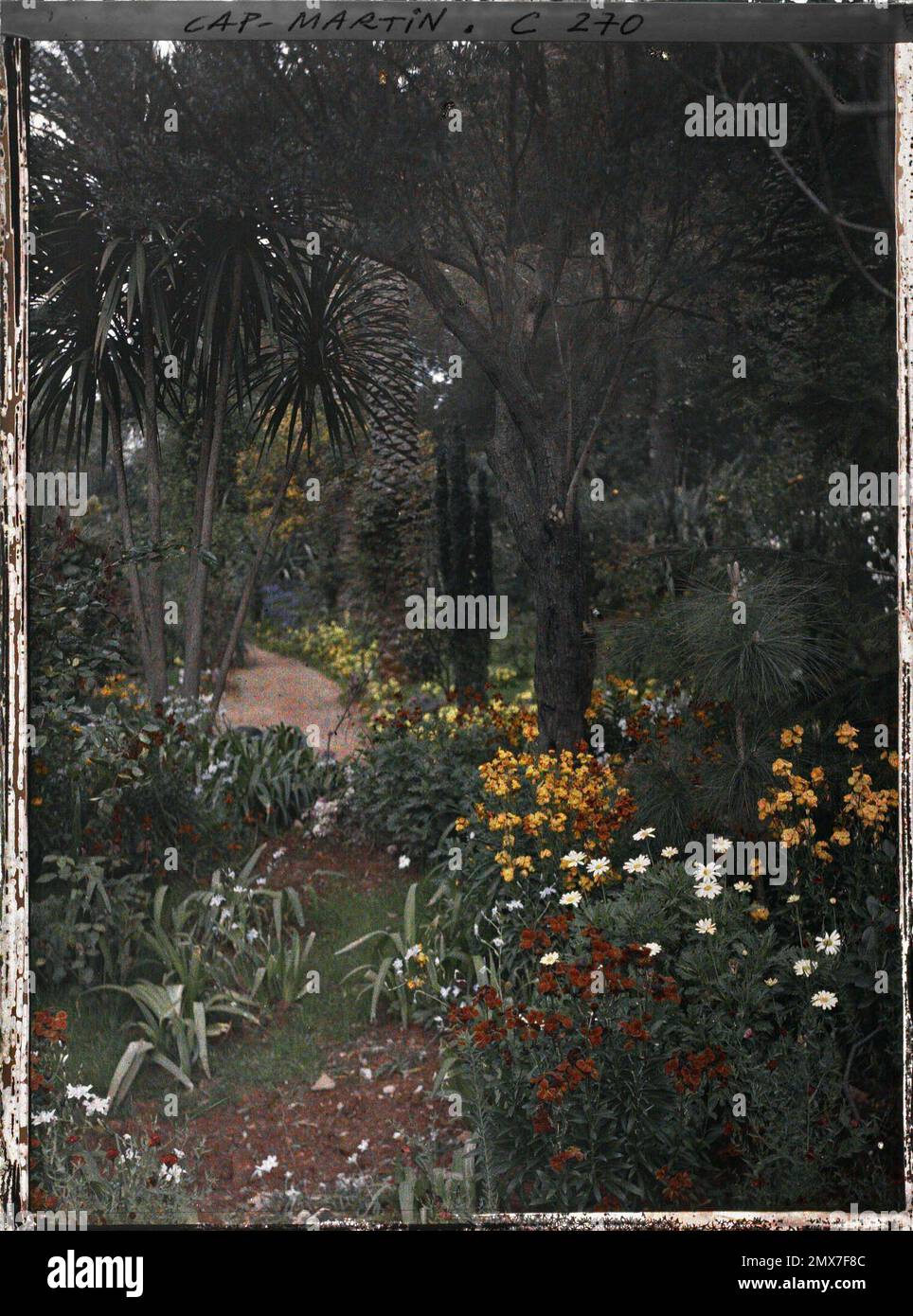 Cap Martin , France , 1914 - Cap Martin - Auguste Léon - (March Stock ...