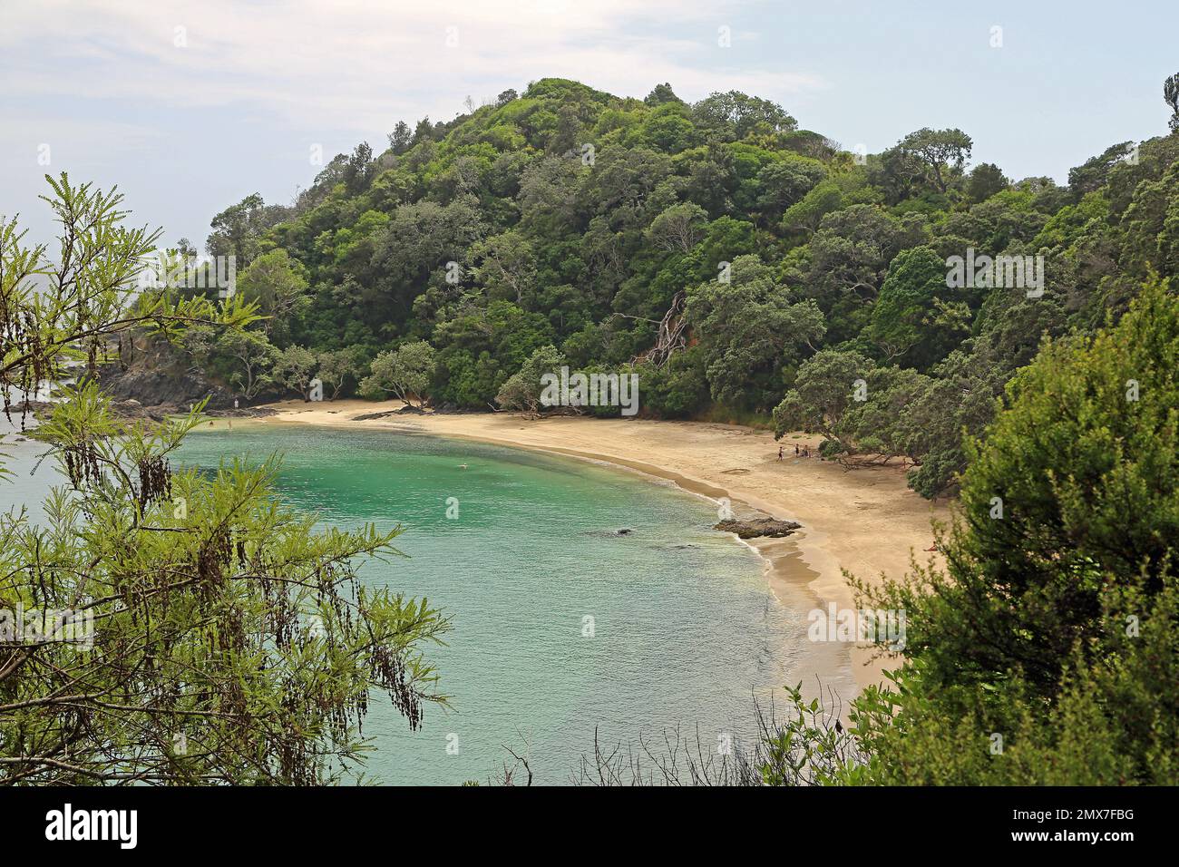 Idyllic whale bay new zealand hi-res stock photography and images - Alamy