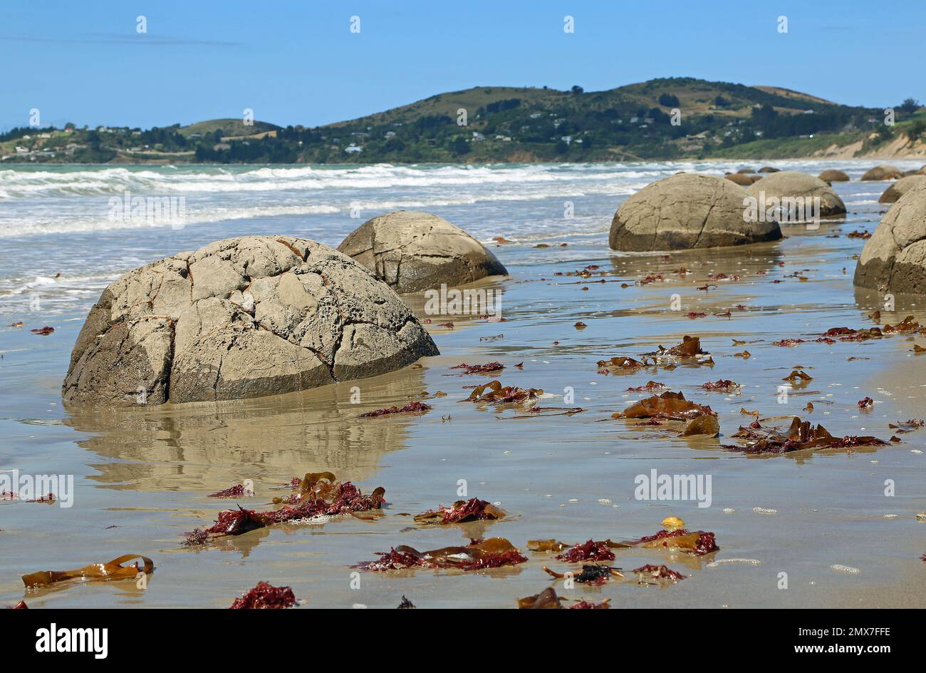 Wrack on the beach - Moeraki Boulders - New Zealand Stock Photo - Alamy