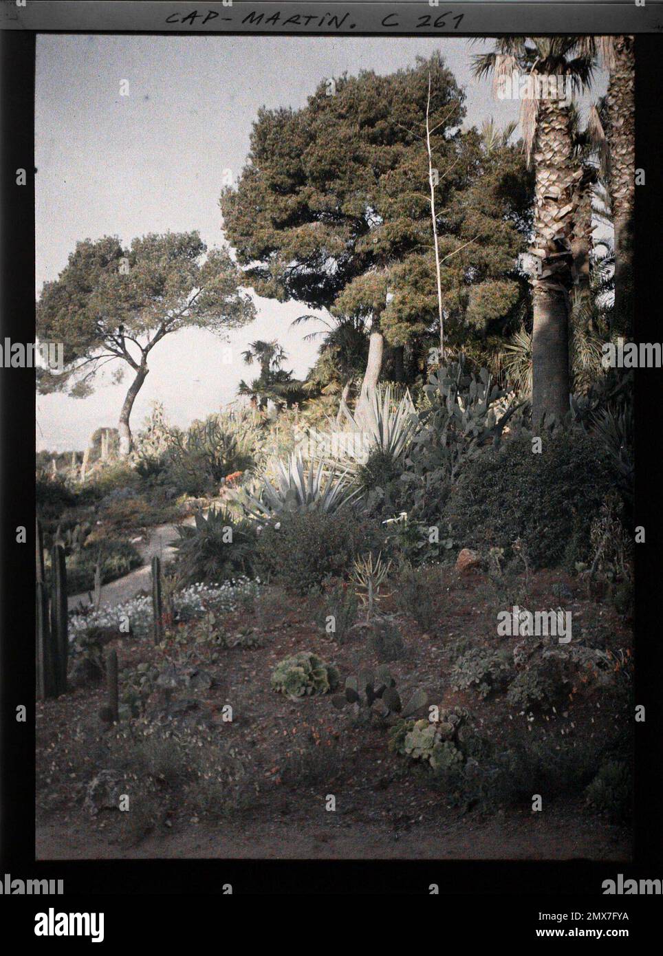 Cap Martin , France , 1914 - Cap Martin - Auguste Léon - (March Stock ...