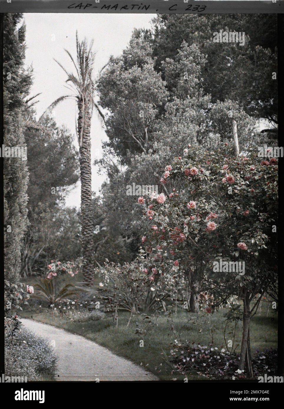 Cap Martin , France , 1913 - Cap Martin - Auguste Léon - (March Stock ...