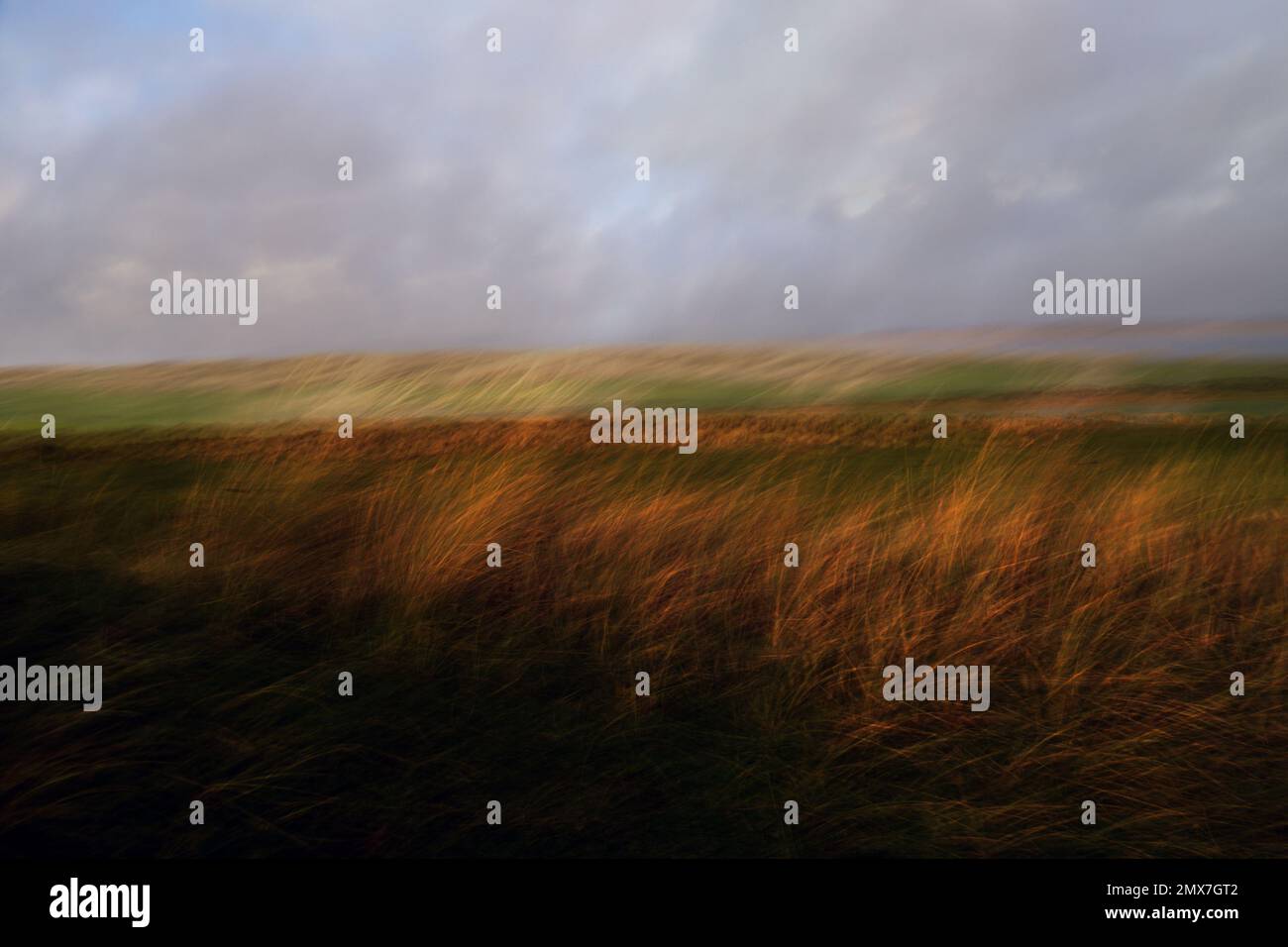 Windy coast hi-res stock photography and images - Alamy