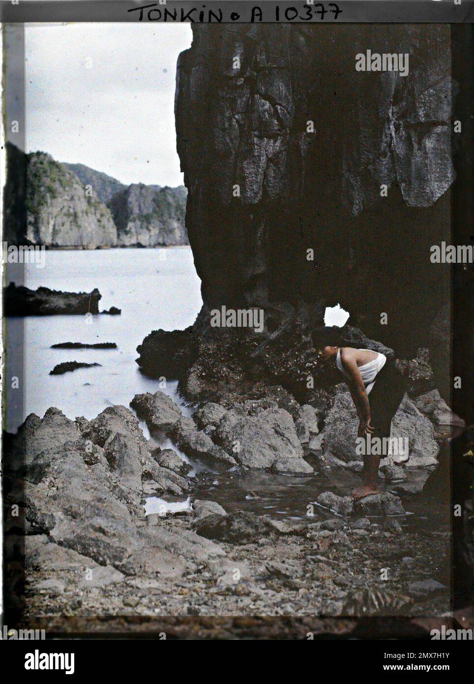 Pha si long hi-res stock photography and images - Alamy