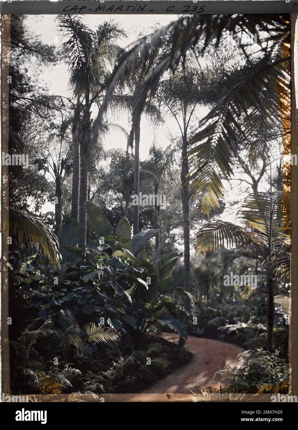 Cap Martin , France , 1914 - Cap Martin - Auguste Léon - (March Stock ...