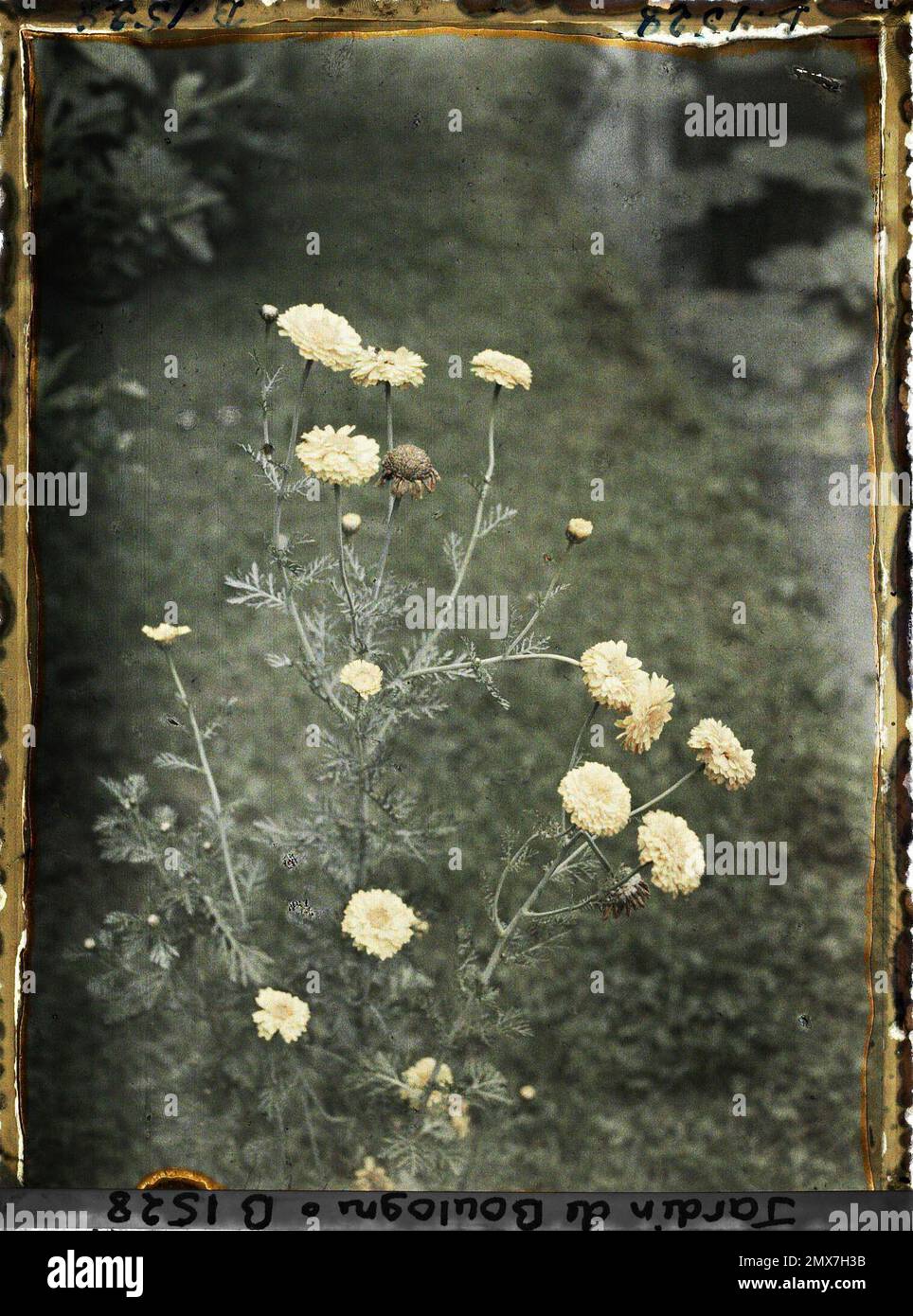 Without time legend hi-res stock photography and images - Alamy