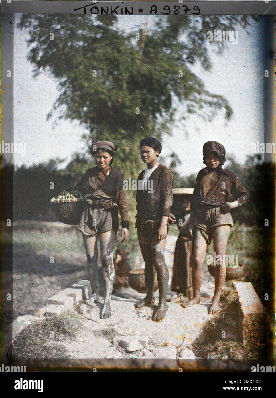 Tonkin, Indochina young girls coming back from the picking of the water ...