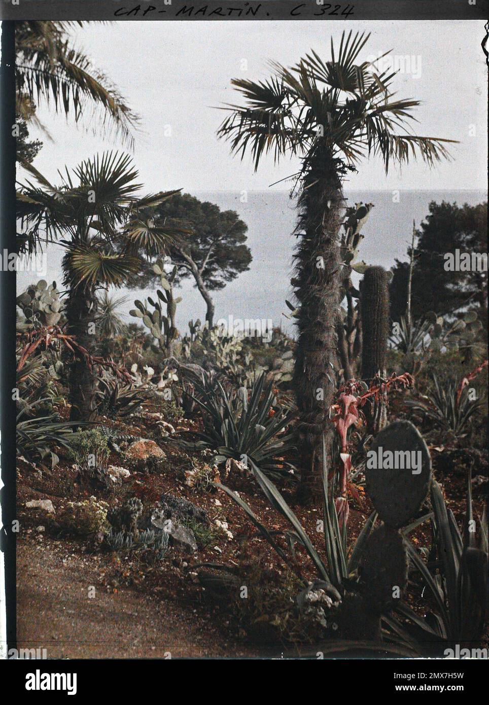 Cap Martin , France , 1914 - Cap Martin - Auguste Léon - (March Stock ...