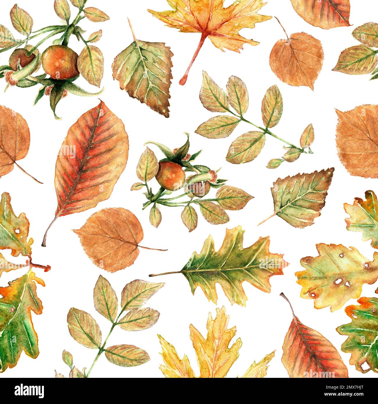 Watercolor autumn nature seamless pattern. Hand drawn repeat texture ...