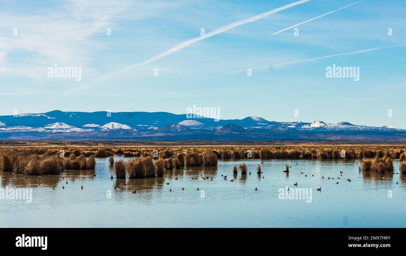 Tule lake drought hi-res stock photography and images - Alamy