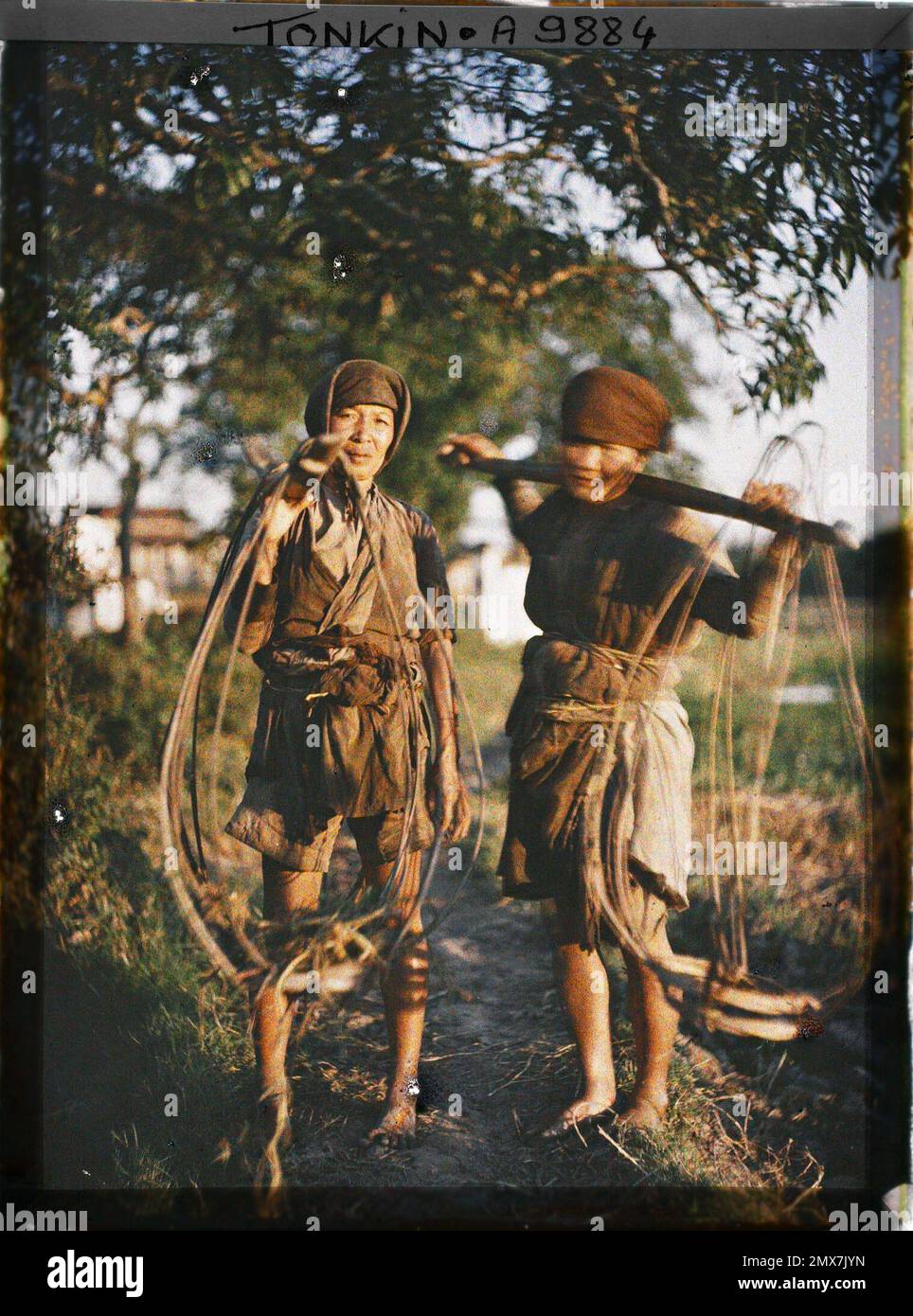 Tonkin, Indochina Transporting the Lisking Stumps of Water , Léon Busy ...