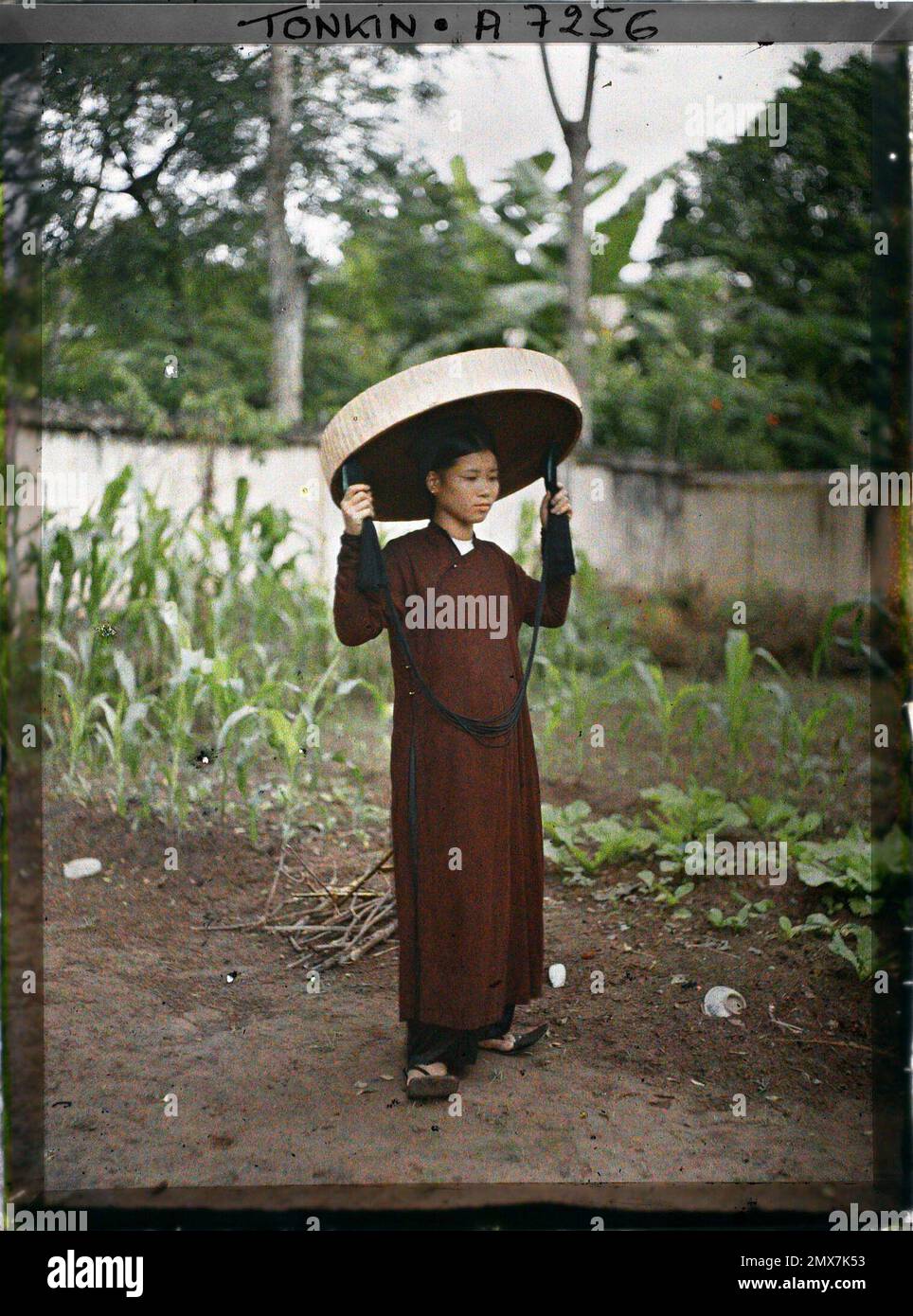Tonkin, Indochina Portrait of a young wealthy class woman, wearing the ...