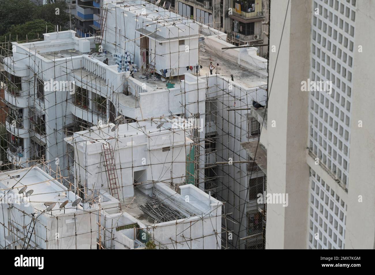 INDIA, Mumbai, apartment tower under renovation, bamboo scaffold ...