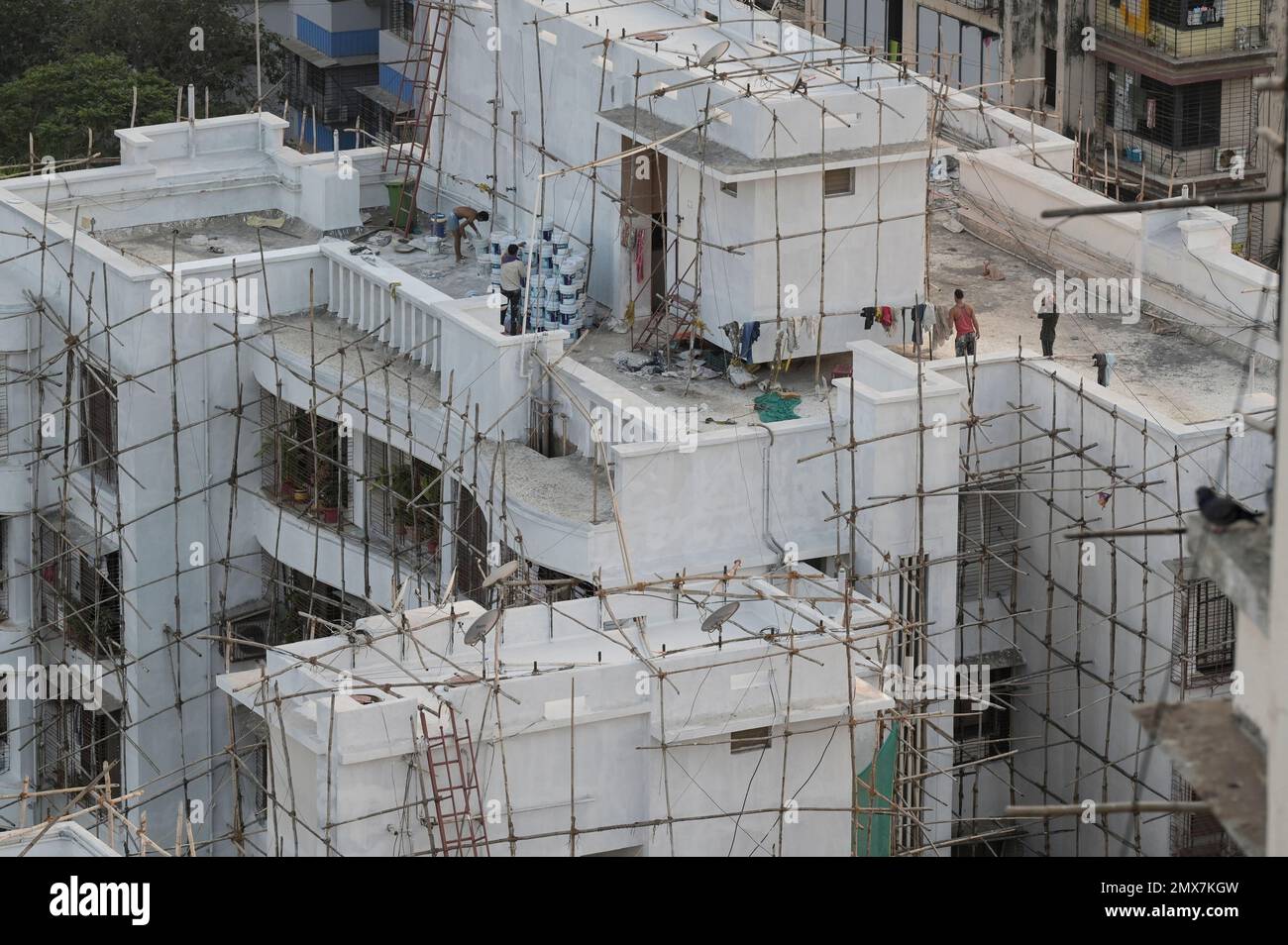 INDIA, Mumbai, apartment tower under renovation, bamboo scaffold ...
