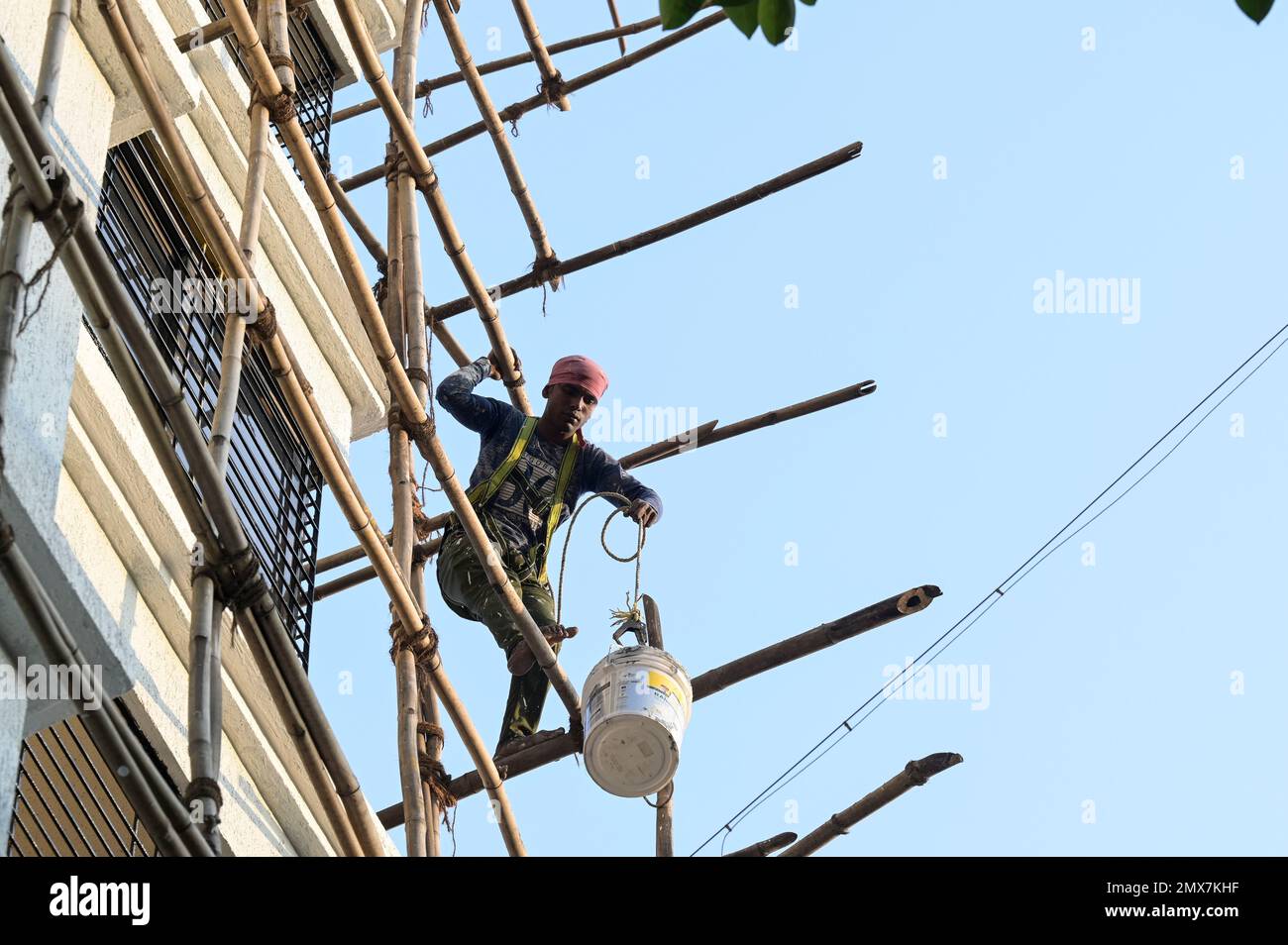 INDIA, Mumbai, apartment tower under renovation, bamboo scaffold ...