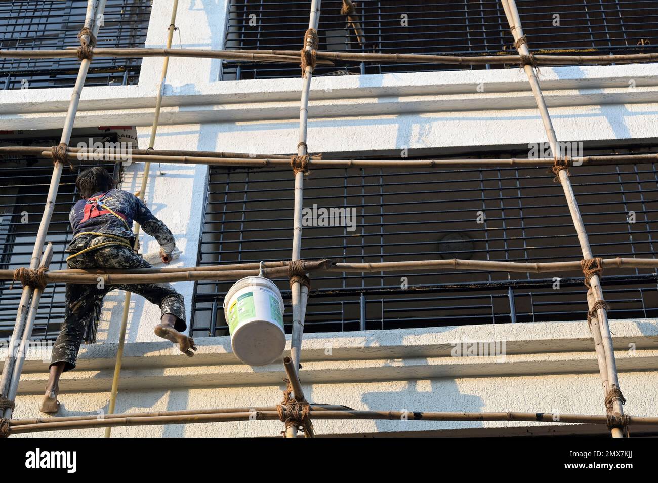 INDIA, Mumbai, apartment tower under renovation, bamboo scaffold ...