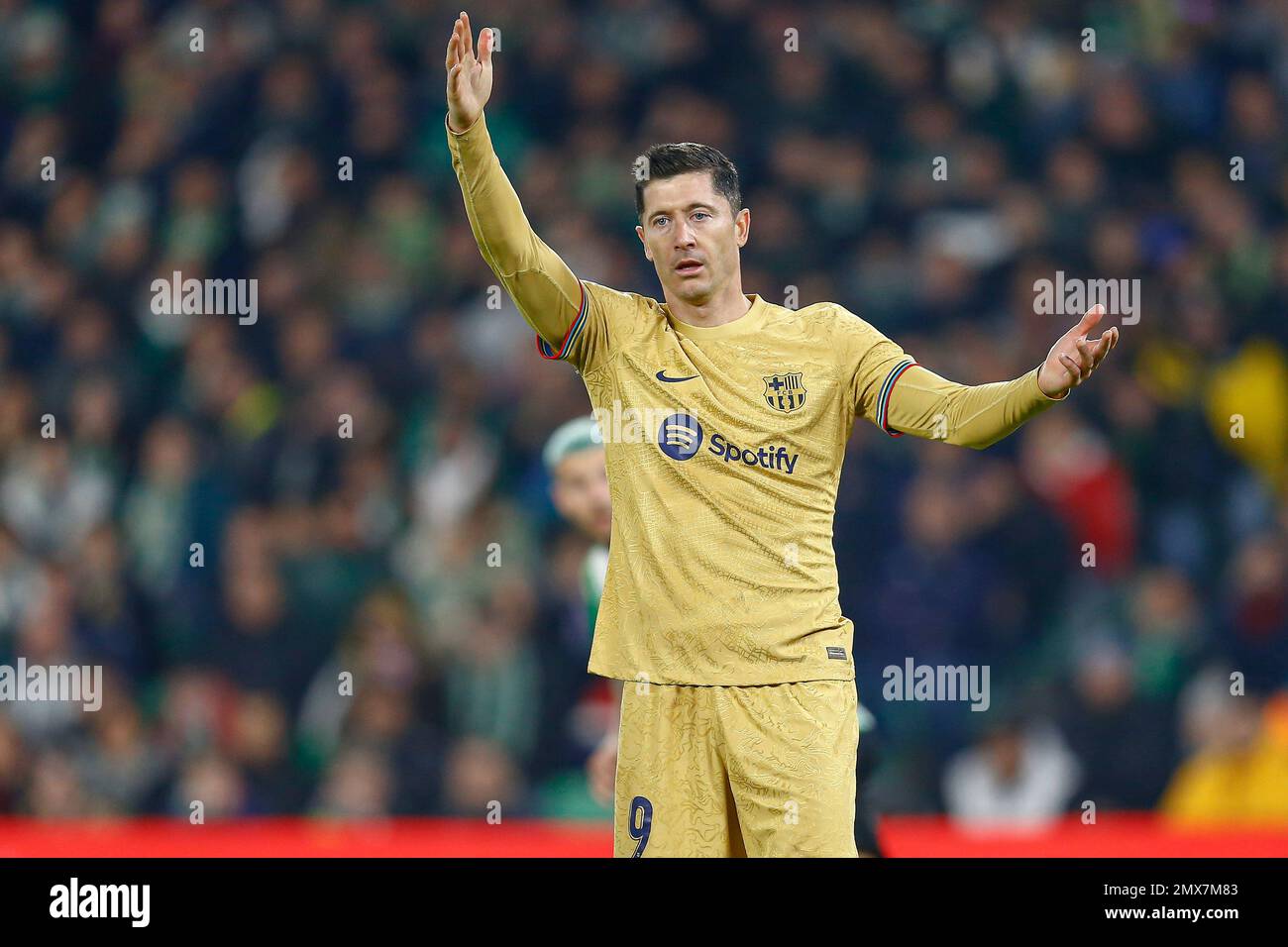 Robert Lewandowski of FC Barcelona during the La Liga match, Date 17 ...
