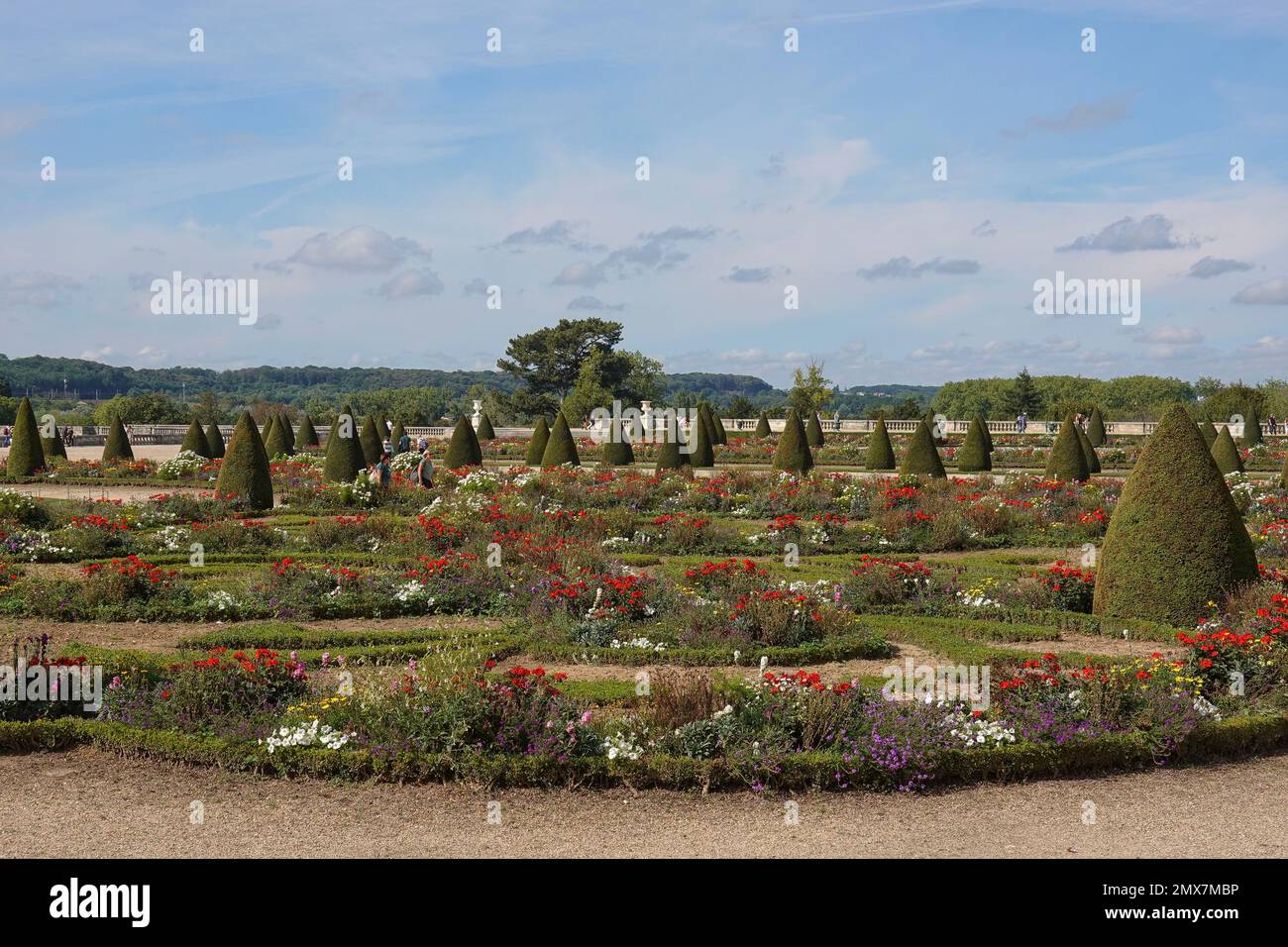 France, Versailles, Gardens of the famous Palace of Versailles. whole ...