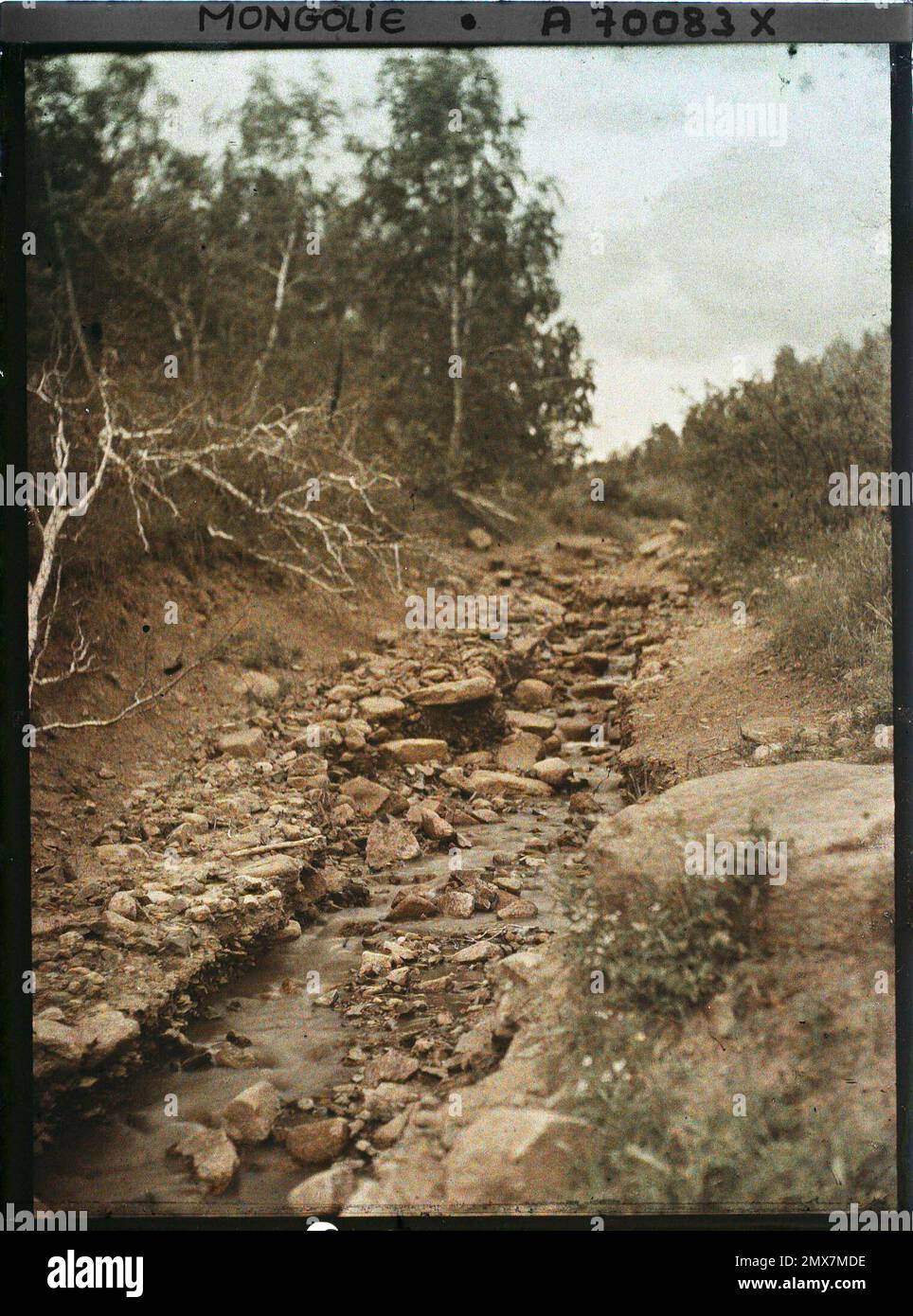 Between Kiakhta and Ourga, Transbaïkalie, Mongolia a watercourse , 1913 ...