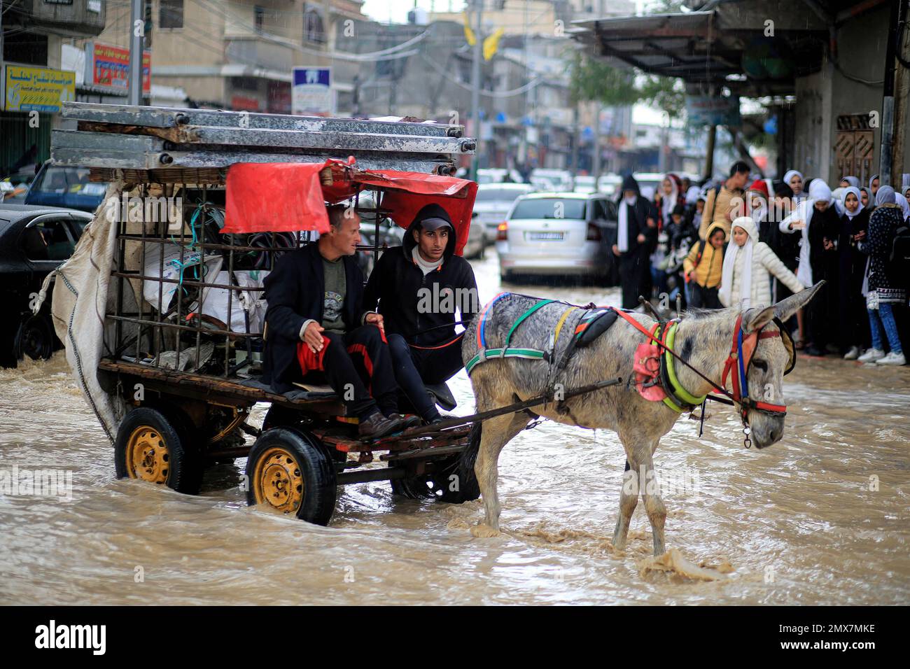 Gaza, Palestine. 31st Jan, 2023. Palestinians seen riding on a donkey ...