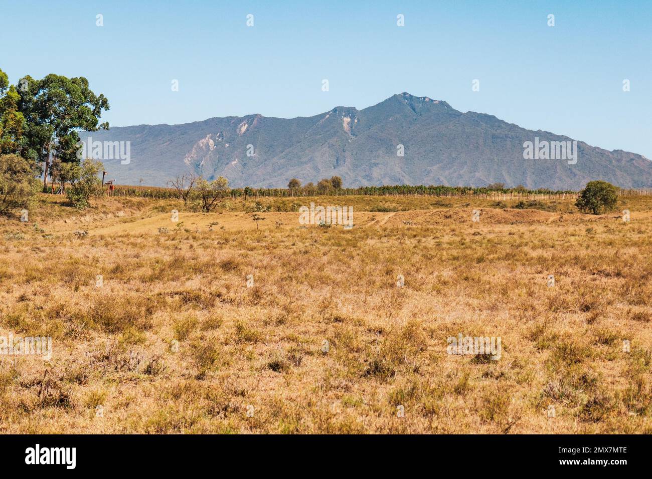 Scenic view of Mount Longonot in Naivasha, Kenya Stock Photo - Alamy