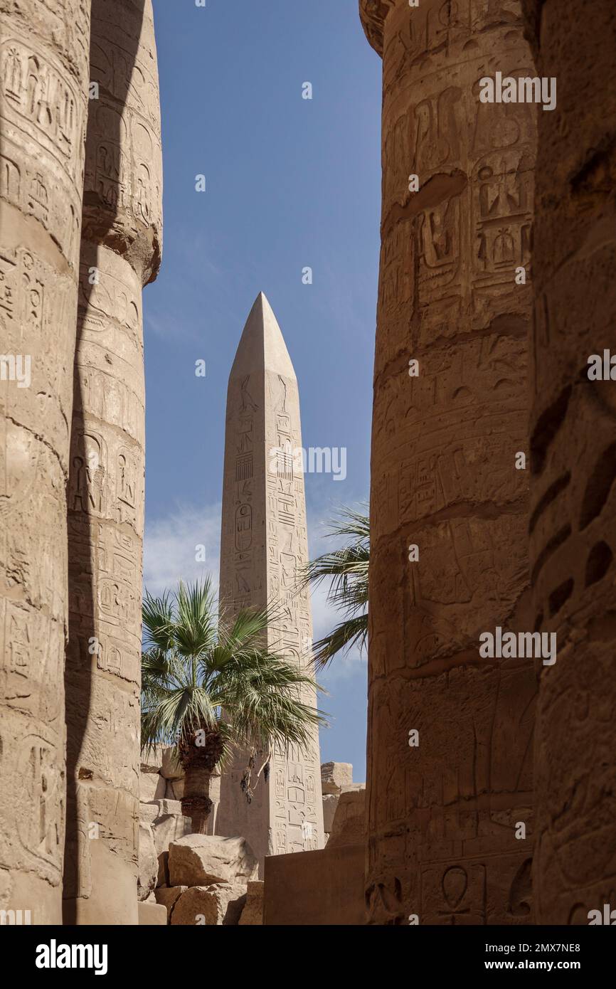 Obelisk Of Pharaoh Hatshepsut viewed through columns, Karnak Temple ...